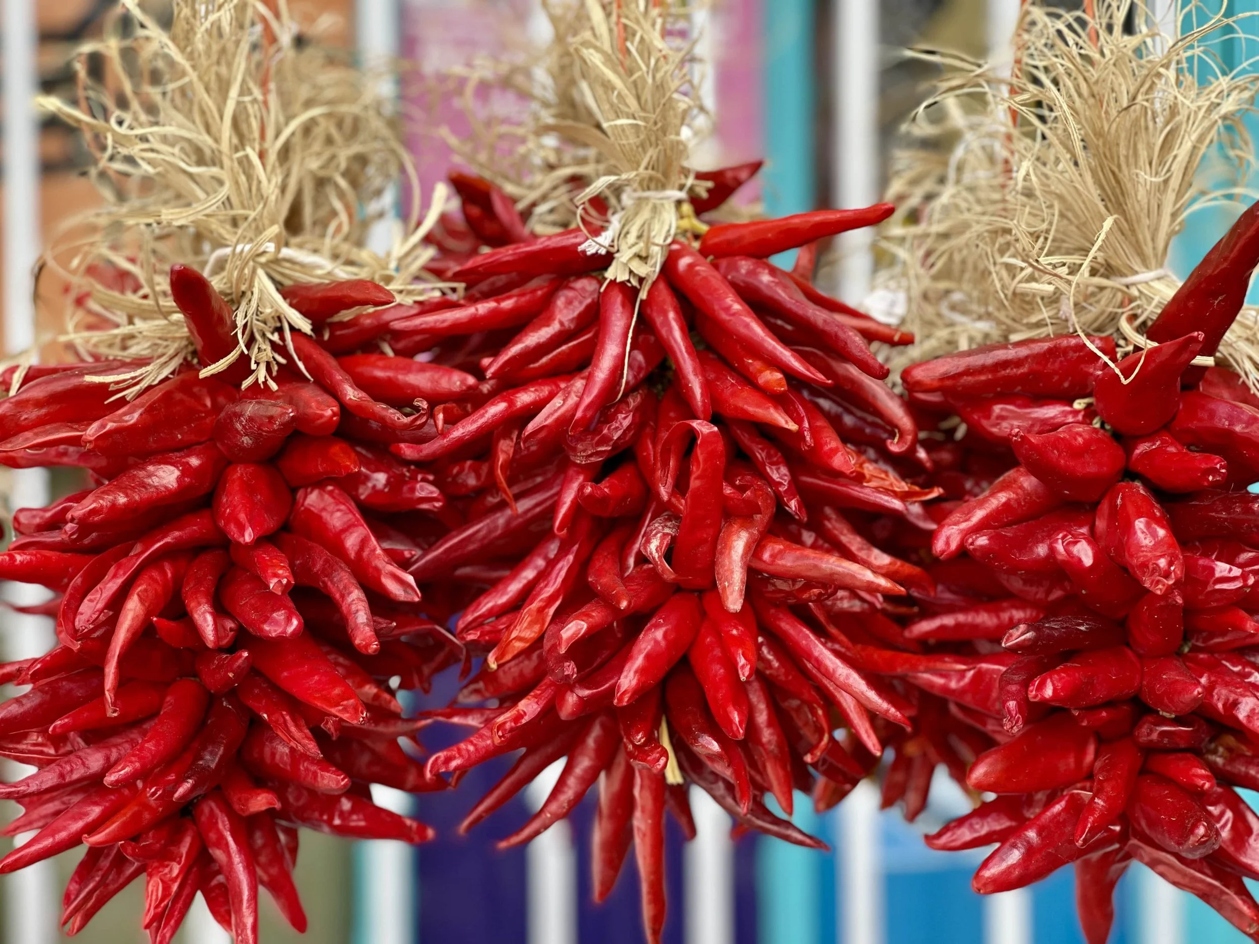 red-chiles